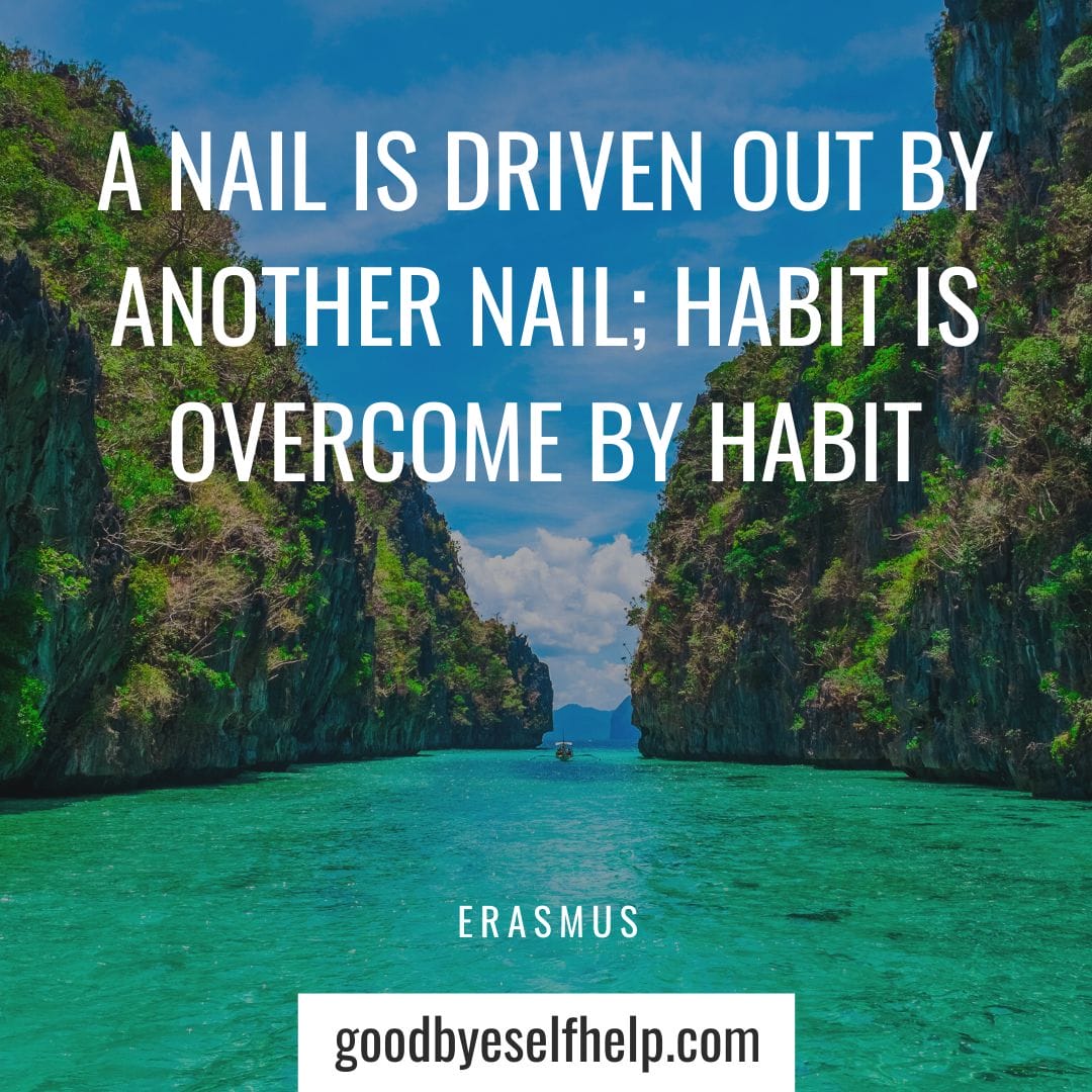 45 Surprising Quotes about Habits to Inspire You - Goodbye Self Help