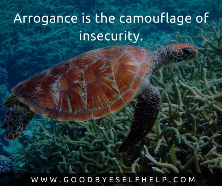 55 Quotes about Arrogance to Make You Think - Goodbye Self Help