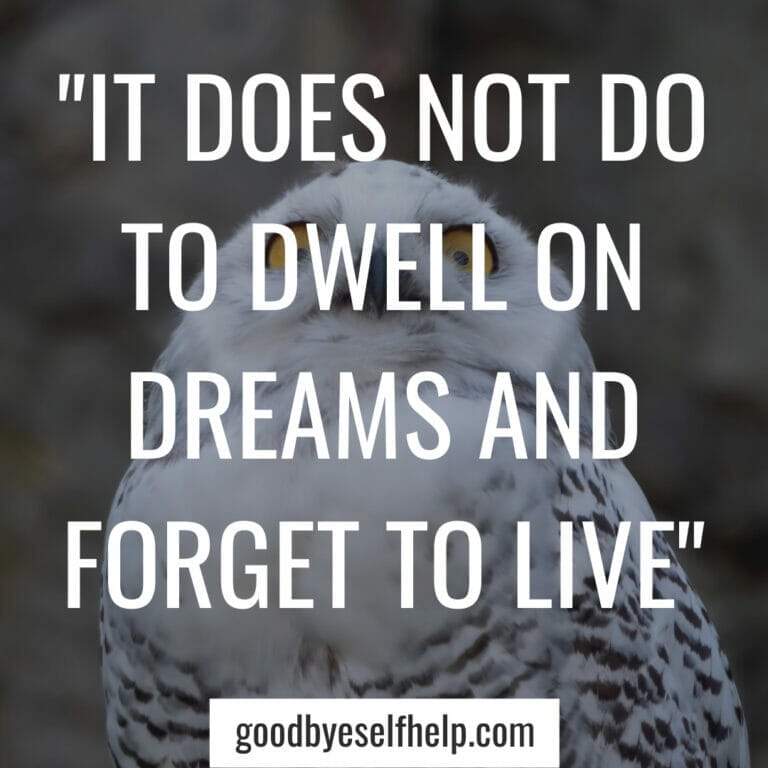 39+ Inspirational Harry Potter Quotes to Empower You - Goodbye Self Help