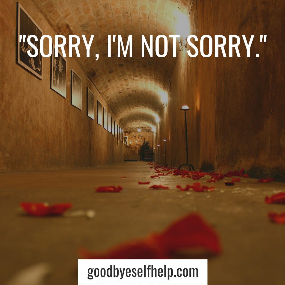 101 Unique Sassy Instagram Captions for the Perfect Post - Goodbye Self ...