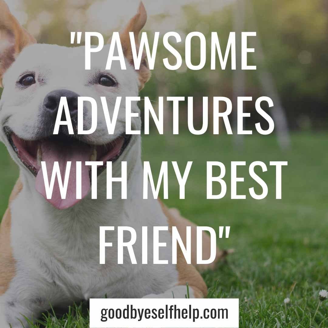 101 Adorable Dog Instagram Captions for the Perfect Post - Goodbye Self ...
