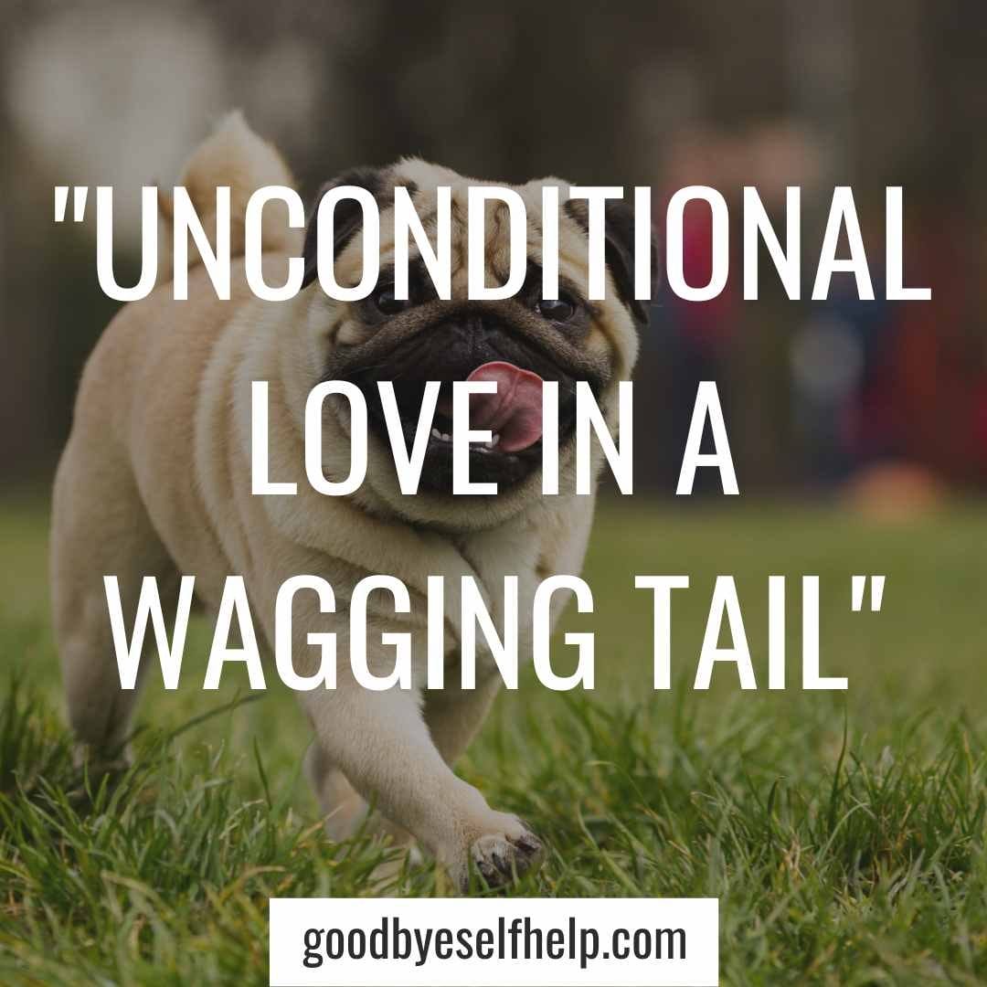 101 Adorable Dog Instagram Captions for the Perfect Post - Goodbye Self ...