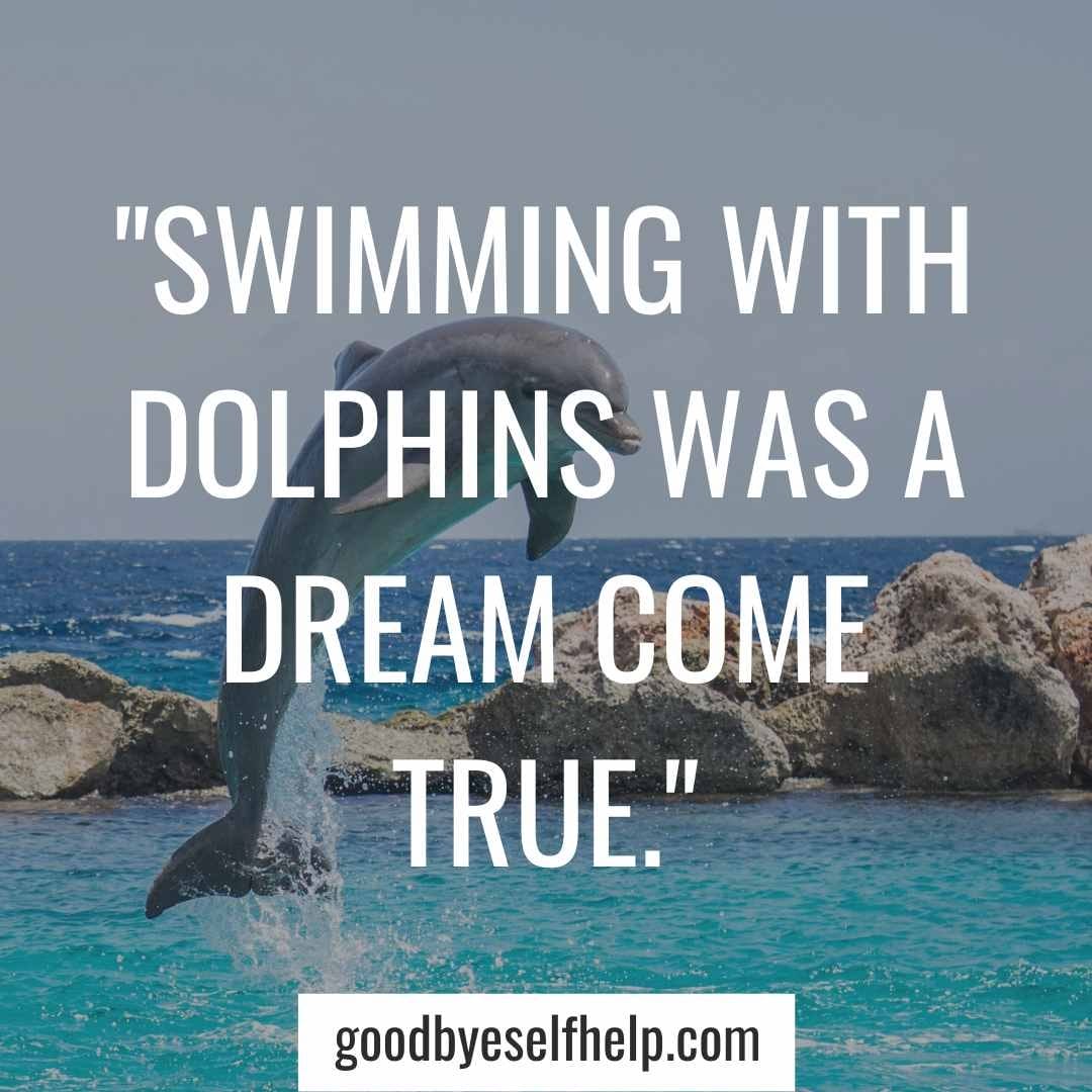 101 Cute Instagram Captions about Dolphins for the Perfect Post ...