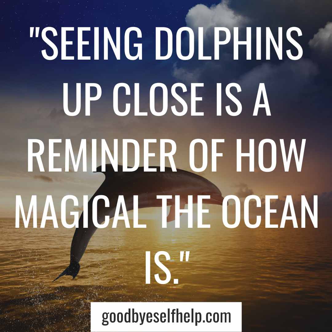 101 Cute Instagram Captions about Dolphins for the Perfect Post ...