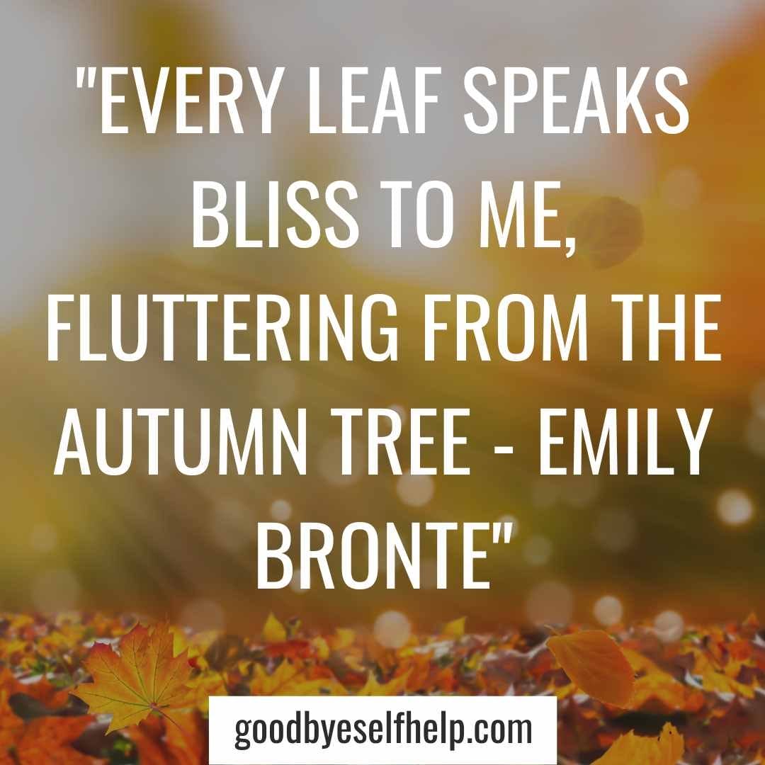 101 Unique Fall Instagram Captions for the Perfect Post - Goodbye Self Help