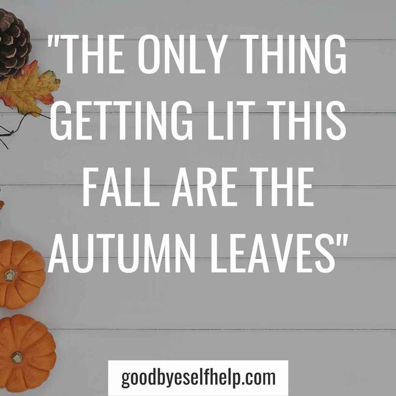 101 Unique Fall Instagram Captions for the Perfect Post - Goodbye Self Help