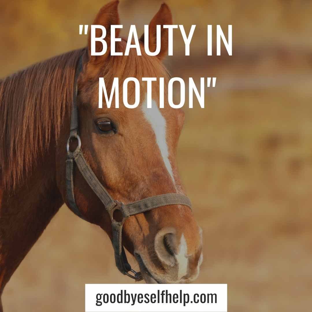 101 Best Horse Instagram Captions for the Perfect Post - Goodbye Self Help