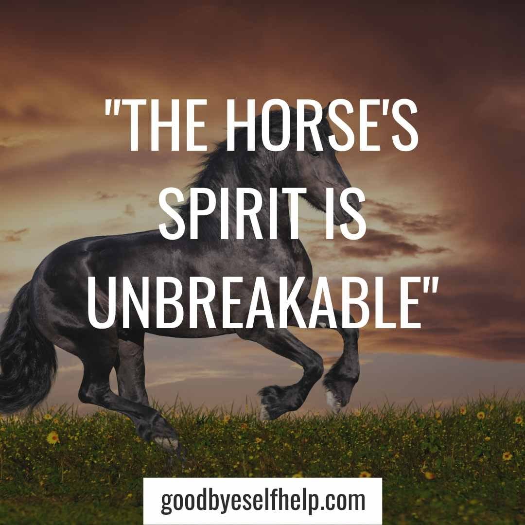 101 Best Horse Instagram Captions for the Perfect Post - Goodbye Self Help