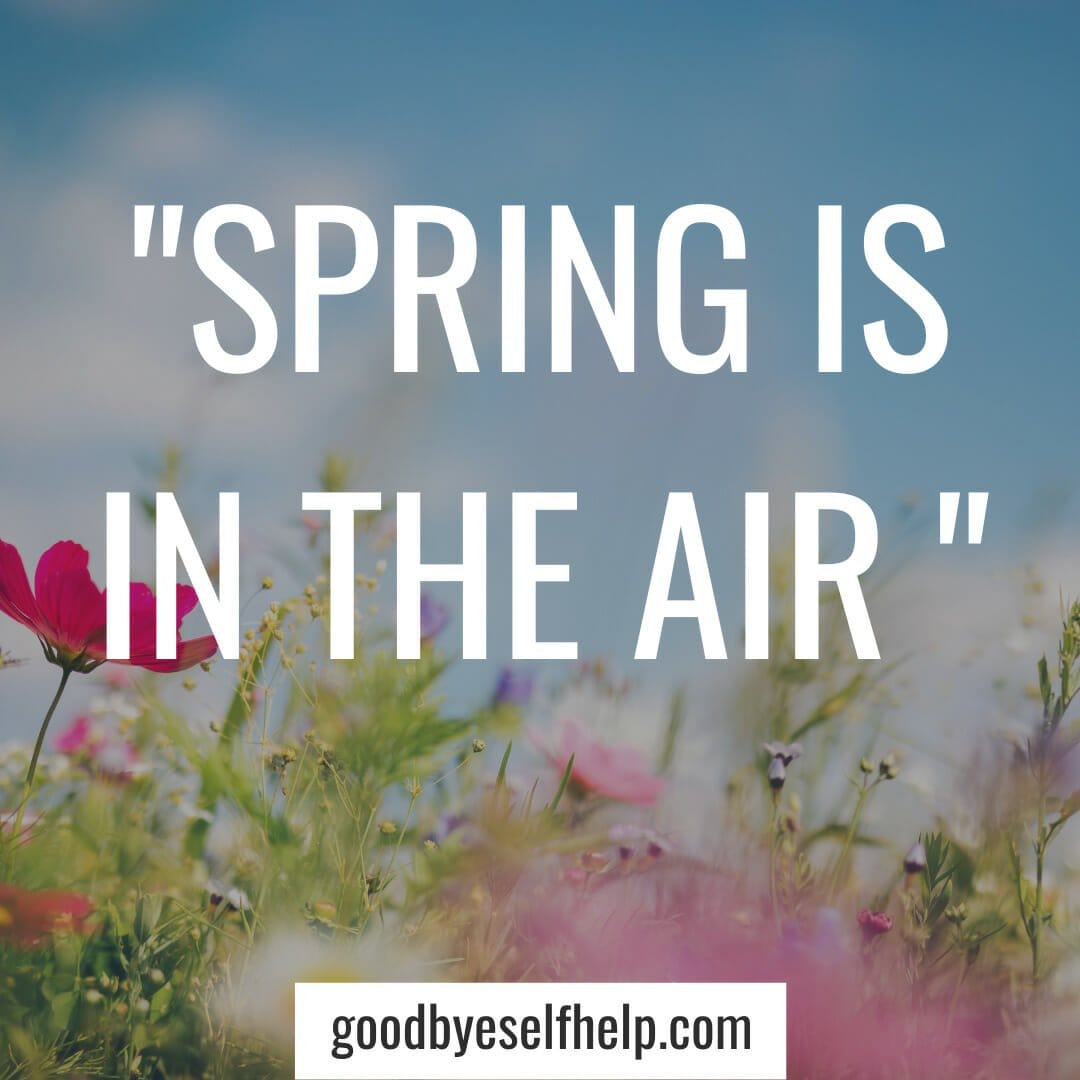 101 Unique Spring Instagram Captions for the Perfect Post - Goodbye ...
