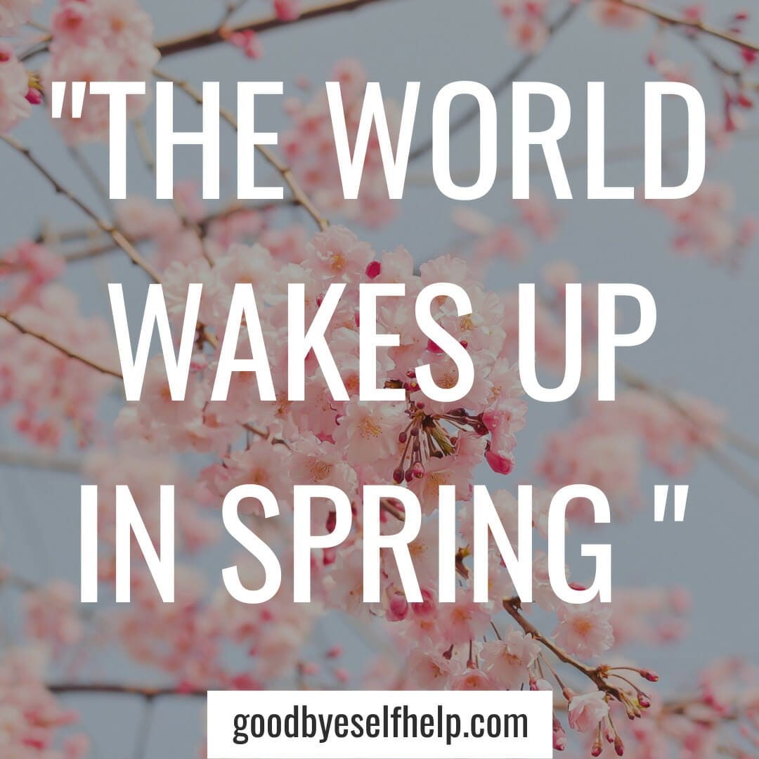 101 Unique Spring Instagram Captions for the Perfect Post - Goodbye ...