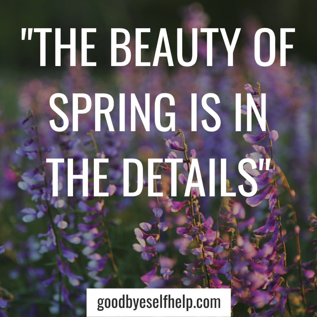 101 Unique Spring Instagram Captions for the Perfect Post - Goodbye ...