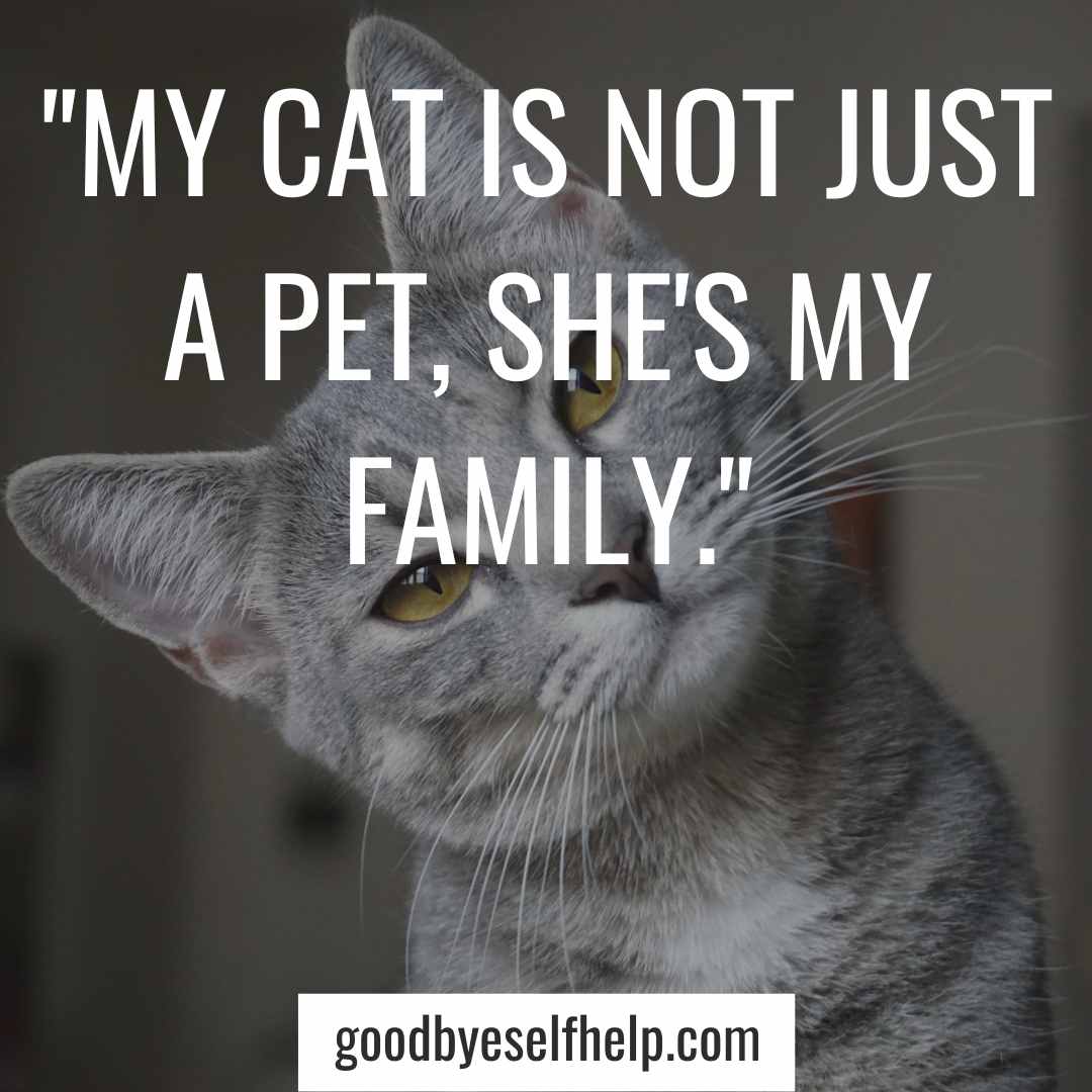 101 Best Cat Instagram Captions For The Perfect Post Goodbye Self Help
