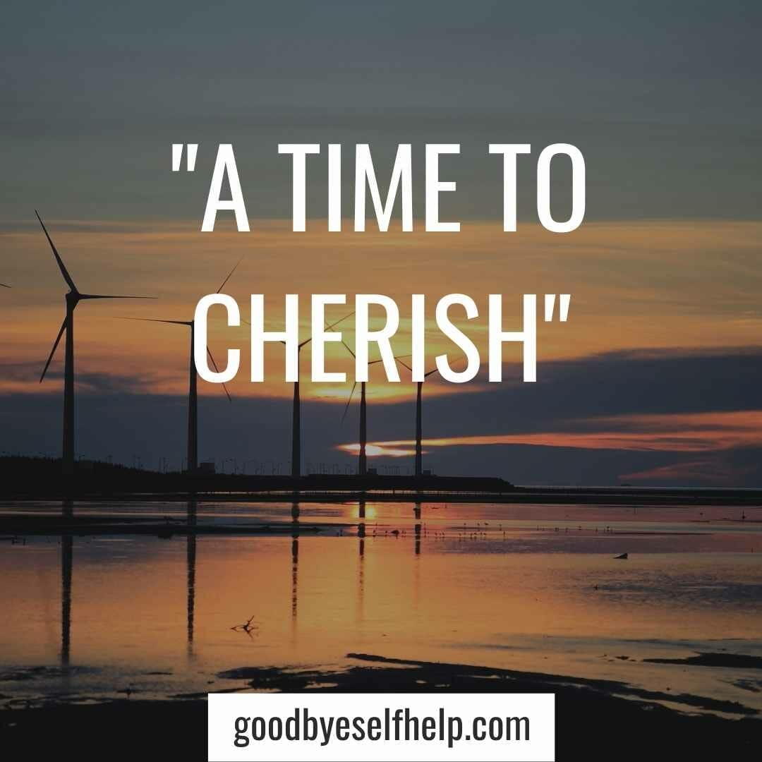 101 Unique Golden Hour Instagram Captions for the Perfect Post ...