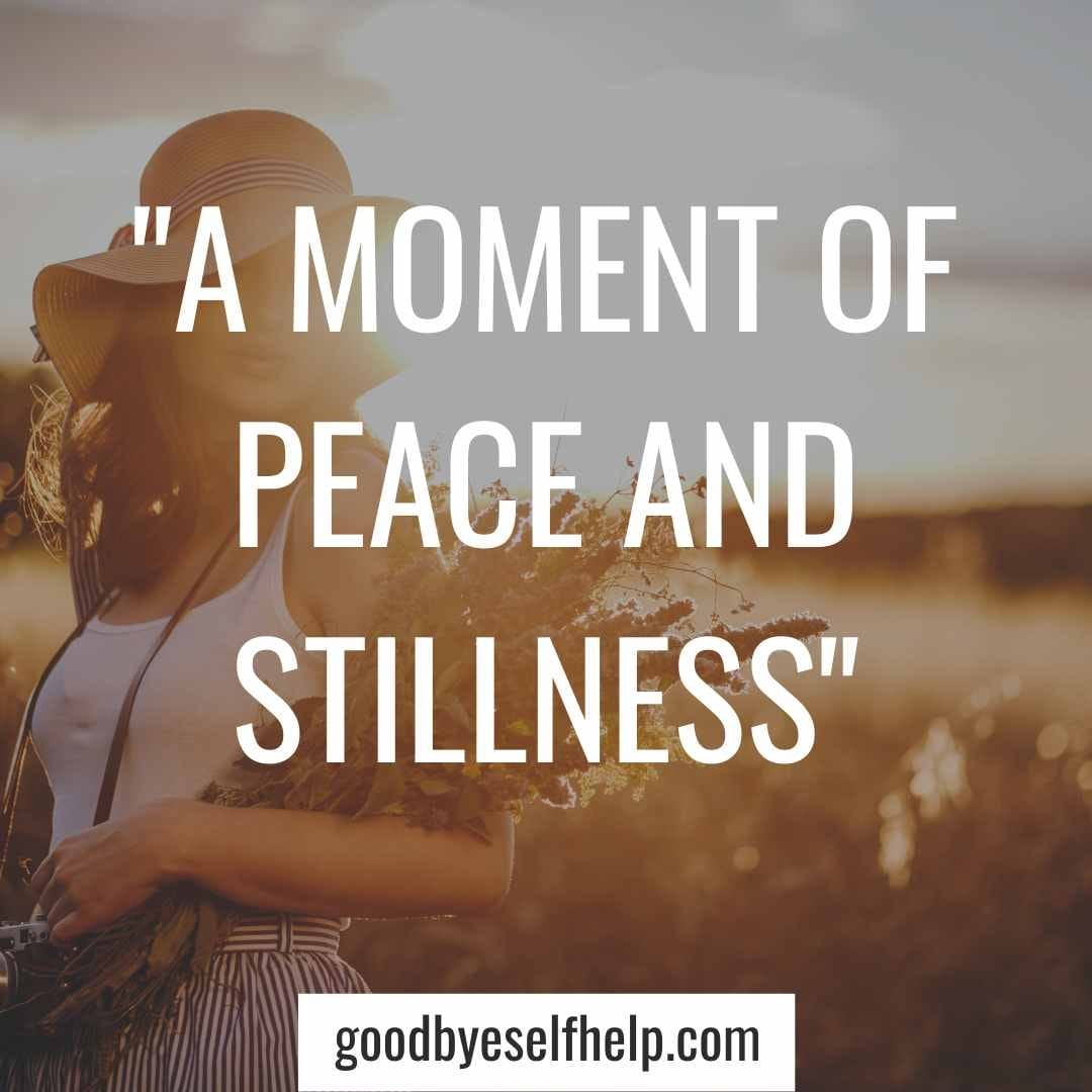 101 Unique Golden Hour Instagram Captions for the Perfect Post ...