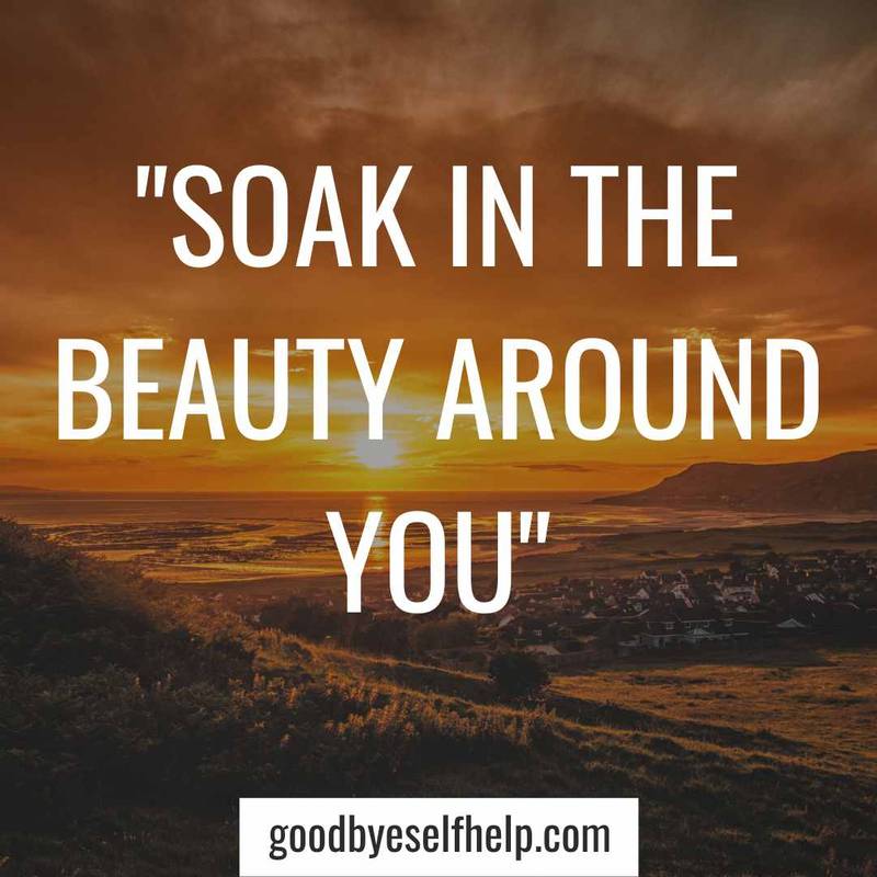 101 Unique Golden Hour Instagram Captions for the Perfect Post ...